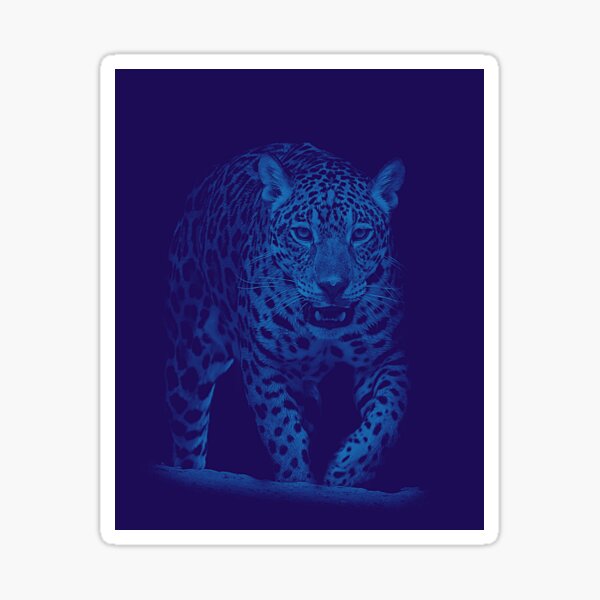 "Jaguar big cat" Sticker for Sale by ImageGenie | Redbubble