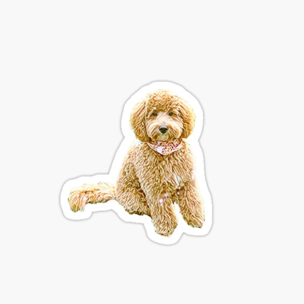 "Goldendoodle love" Sticker for Sale by KithnKin | Redbubble