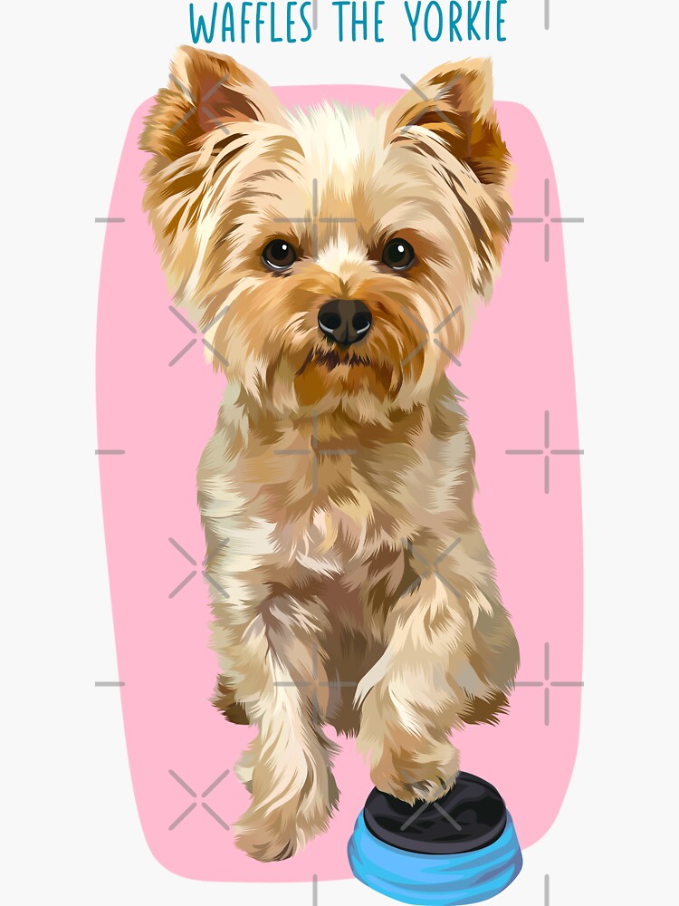 "Waffles The Yorkie with his talking button" Sticker for Sale by ...