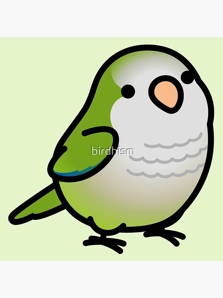 "Chubby Quaker Parrot" Art Print for Sale by birdhism | Redbubble