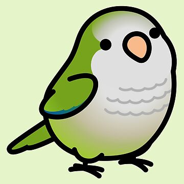 "Chubby Quaker Parrot" Sticker for Sale by birdhism | Redbubble