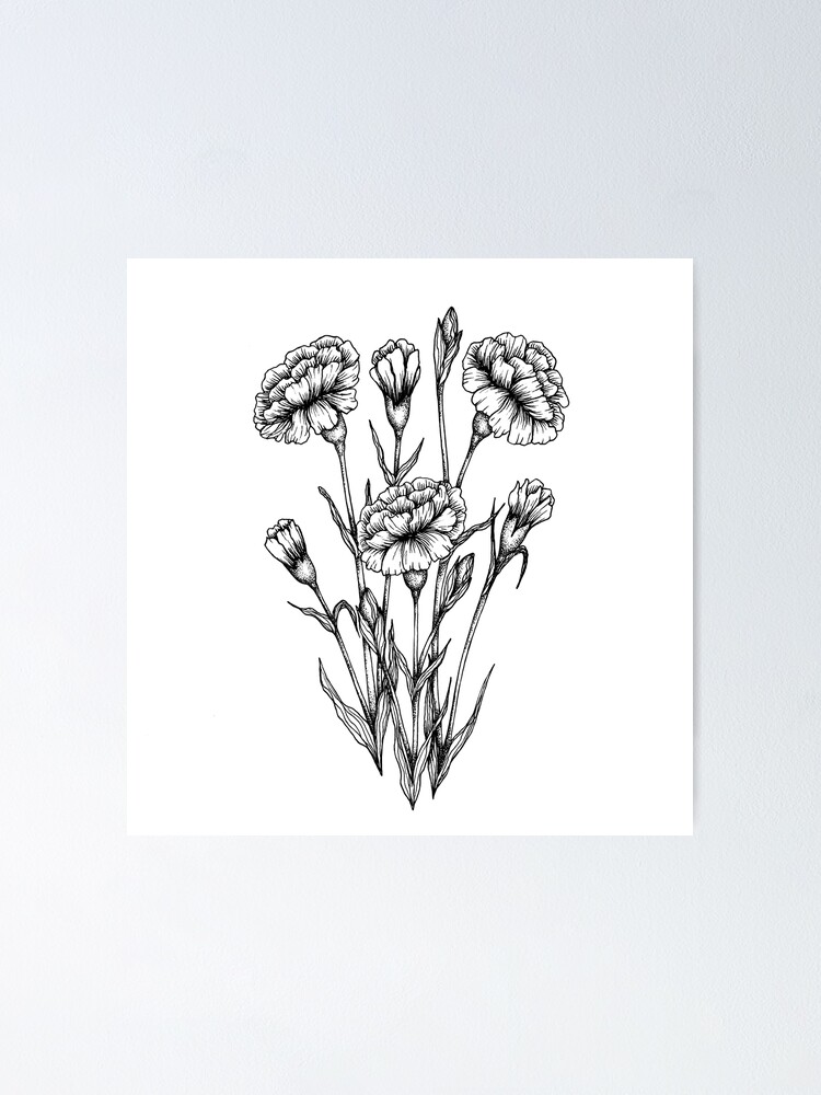 "Carnations Line Drawing" Poster for Sale by floralines | Redbubble