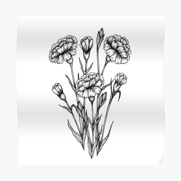 "Carnations Line Drawing" Poster for Sale by floralines | Redbubble