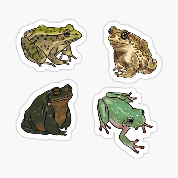 "Cottagecore Frog Packet" Sticker for Sale by SEASstudios | Redbubble