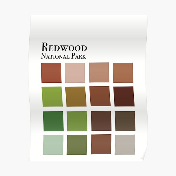 "Minimalist Redwood National Park color palette" Poster for Sale by ...