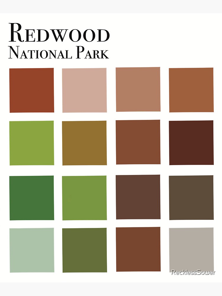 "Minimalist Redwood National Park color palette" Sticker for Sale by ...
