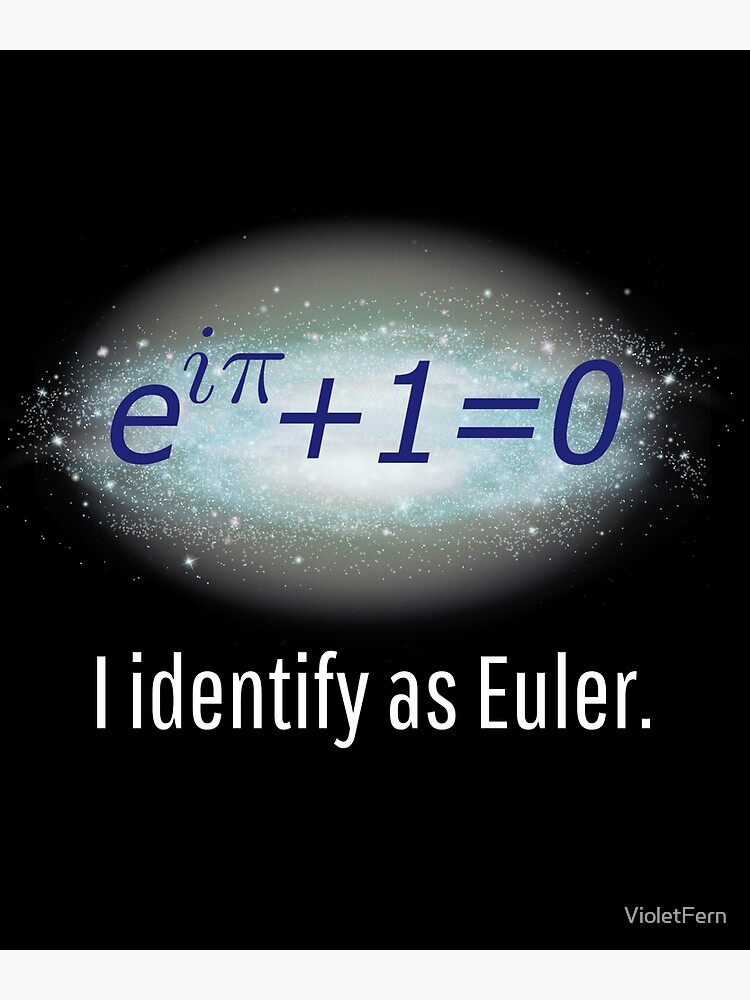 "Funny I Identify as Euler Math Equation Euler's Identity Nerdy" Poster ...