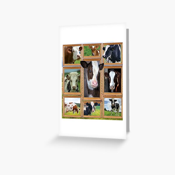 "Farm Animals Mooo 3D Picture" Greeting Card for Sale by Briana116 ...