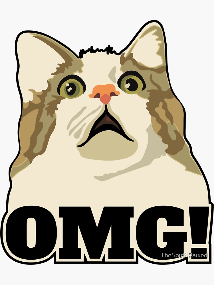 "The Gasping OMG Meme Cat" Sticker for Sale by TheSouthPawed | Redbubble