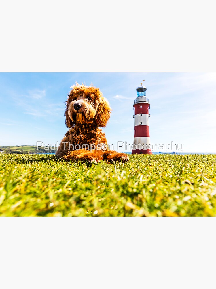 "Dog As Big As A Lighthouse" Sticker for Sale by tommysphotos | Redbubble