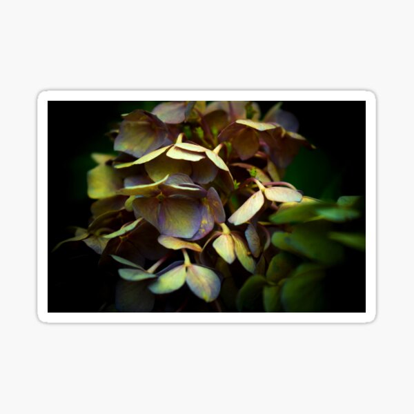 "To Trickle Down" Sticker for Sale by HecateBast | Redbubble