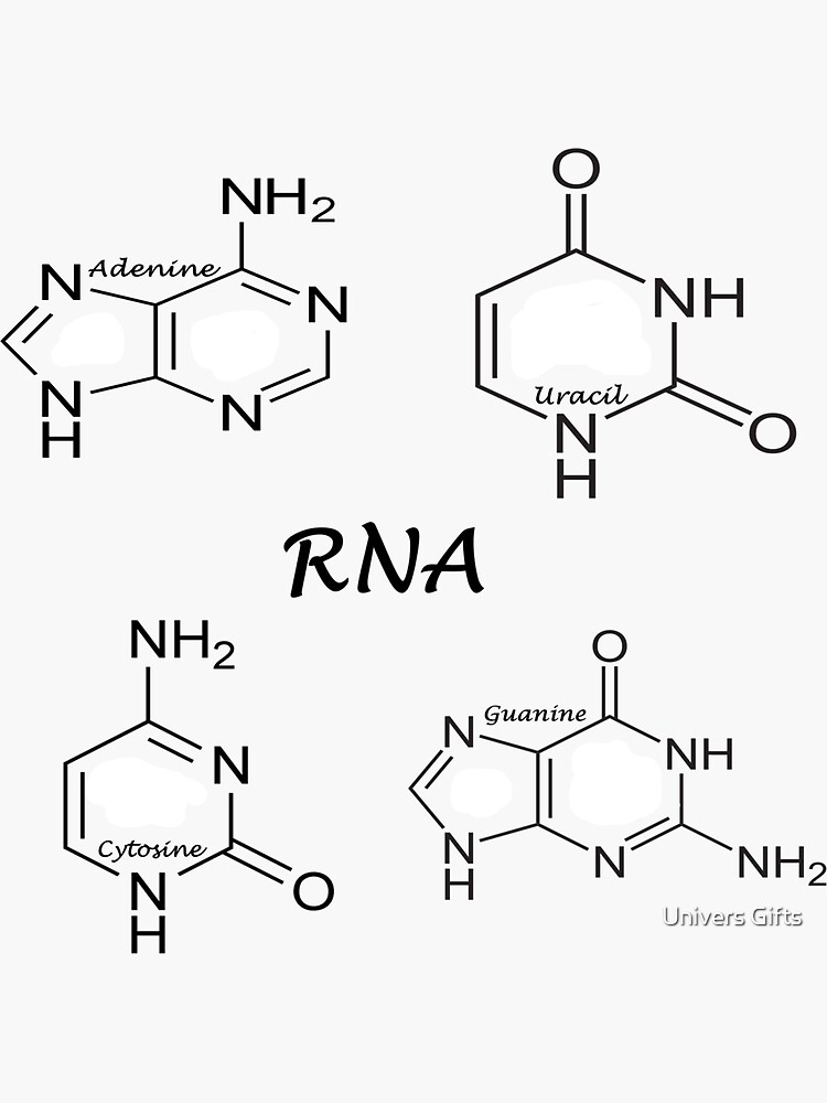 "RNA" Sticker for Sale by irenhr | Redbubble