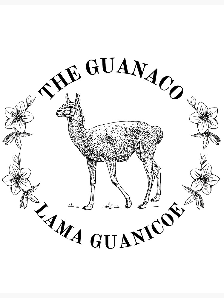 Vintage Guanaco Premium Matte Vertical Poster sold by Elaine Rodrigues ...