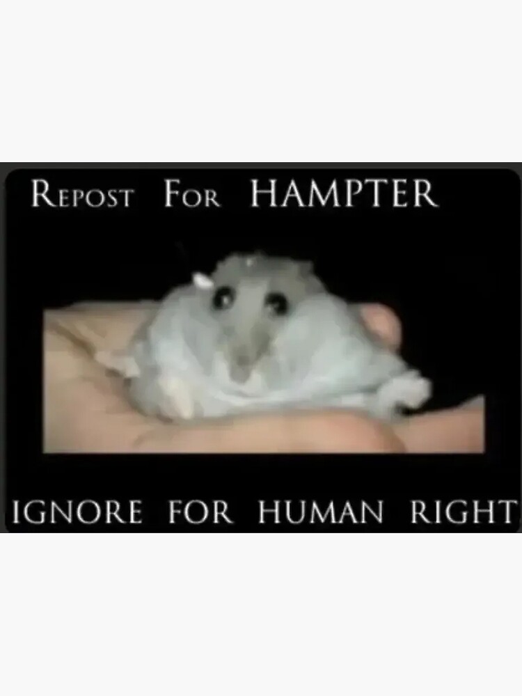 "Hampter Meme" Poster for Sale by Thomasbarlow | Redbubble