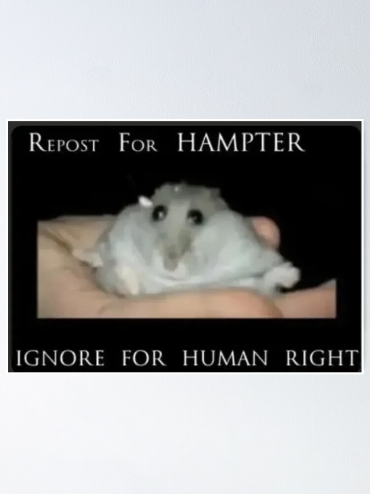 "Hampter Meme" Poster for Sale by Thomasbarlow | Redbubble