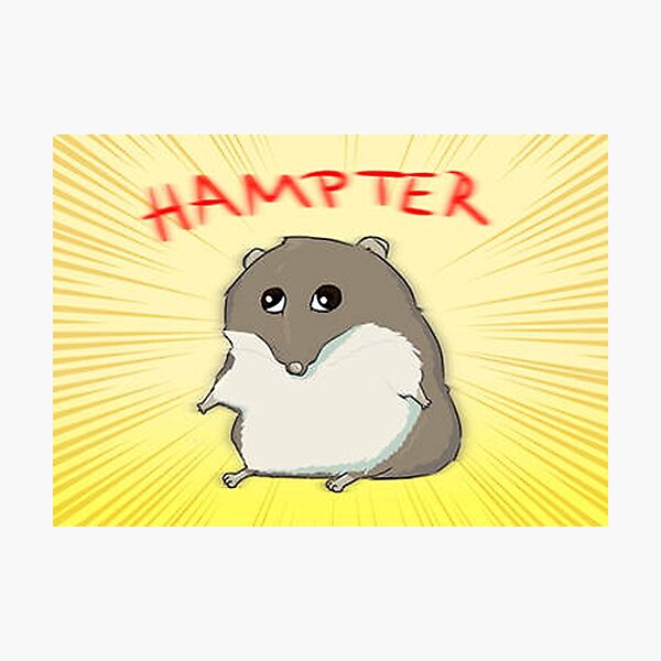 "Hampter Meme" Photographic Print for Sale by Thomasbarlow | Redbubble