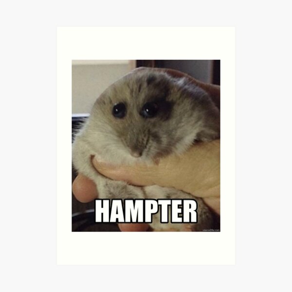 "Hampter Meme" Art Print for Sale by Thomasbarlow | Redbubble