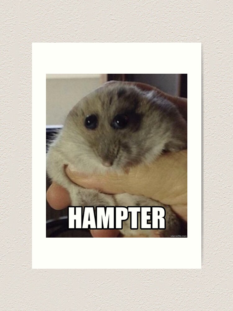 "Hampter Meme" Art Print for Sale by Thomasbarlow | Redbubble