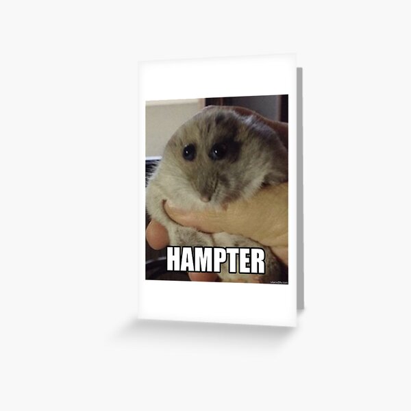 "Hampter Meme" Greeting Card for Sale by Thomasbarlow | Redbubble