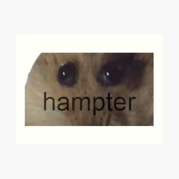"Hampter Meme" Art Print for Sale by Thomasbarlow | Redbubble