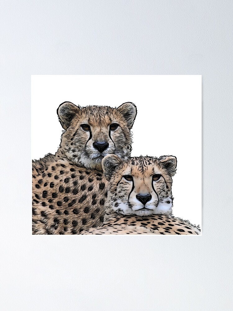 "cheetah" Poster for Sale by Miousuki | Redbubble