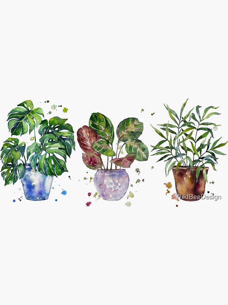 "Watercolour Plant Trio" Sticker for Sale by WildBeeDesign | Redbubble