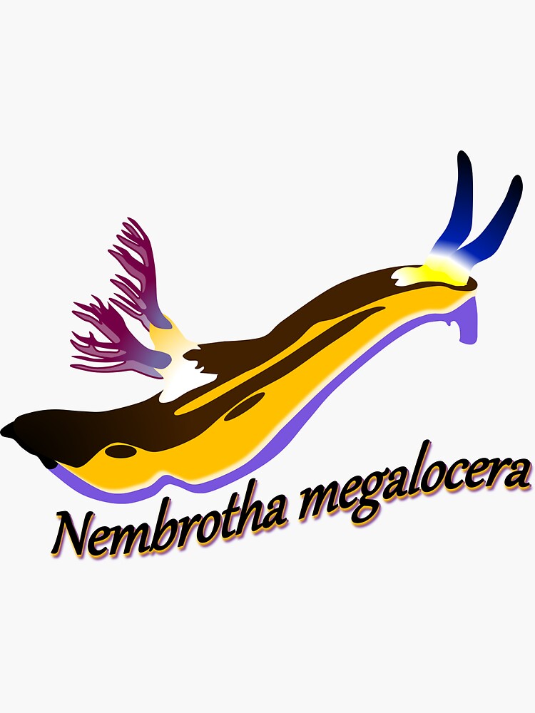 "Nembrotha megalocera" Sticker for Sale by Teddy-FauxBear | Redbubble