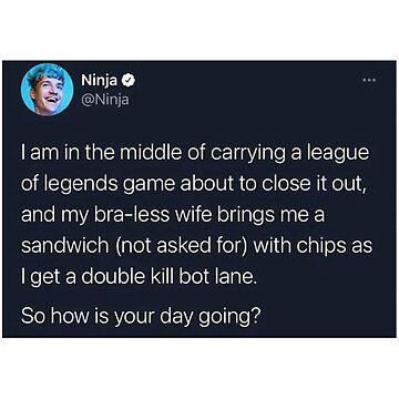 "Ninja Wife Tweet" Tapestry for Sale by artbysydsyd | Redbubble