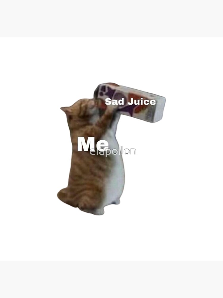 "Cat Drink Sad Juice Mood Meme" Poster for Sale by elapollon | Redbubble
