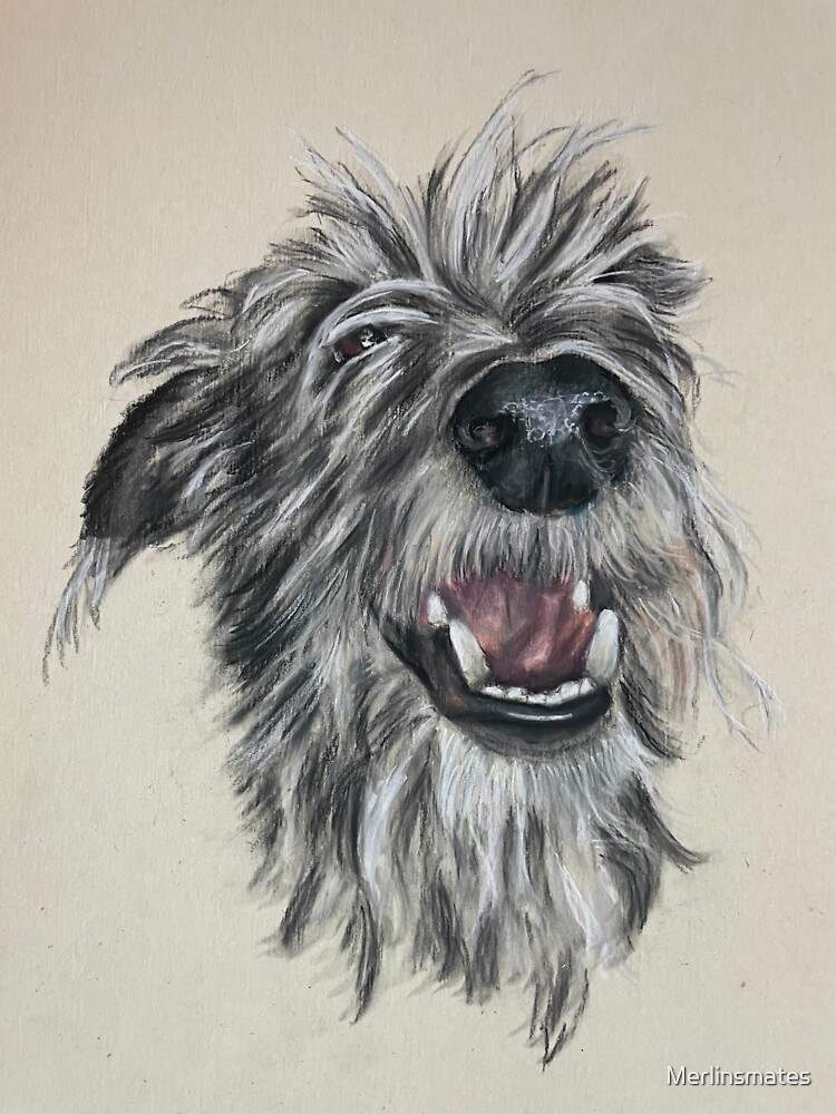 "Scruffy Lurcher " Sticker for Sale by Merlinsmates | Redbubble