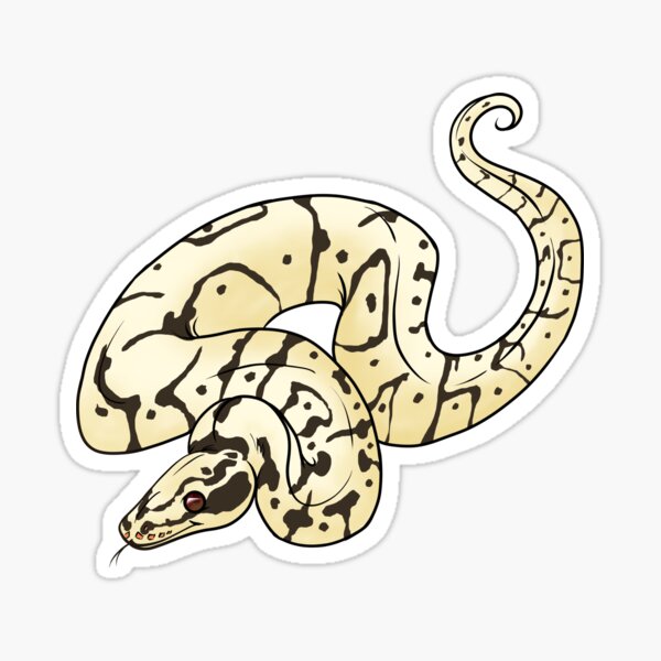 "Bumblebee Ball Python" Sticker for Sale by TwilightSaint0 | Redbubble