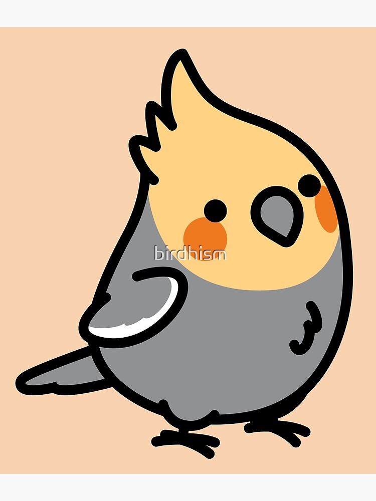 "Chubby Cockatiel " Poster for Sale by birdhism | Redbubble