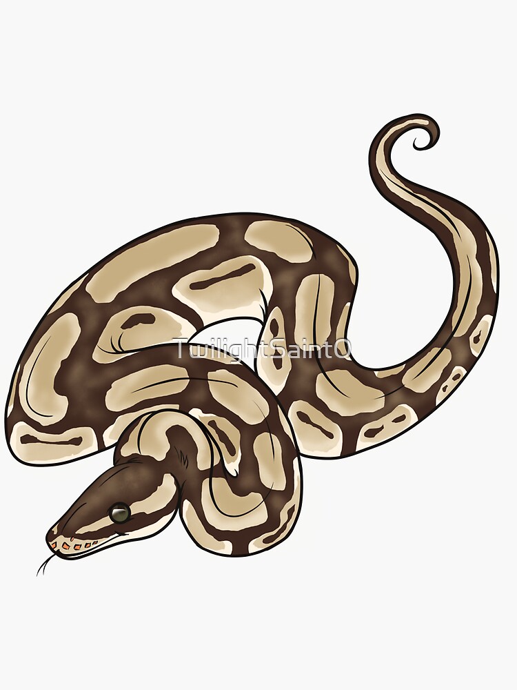 "Lesser Pastel Ball Python" Sticker for Sale by TwilightSaint0 | Redbubble