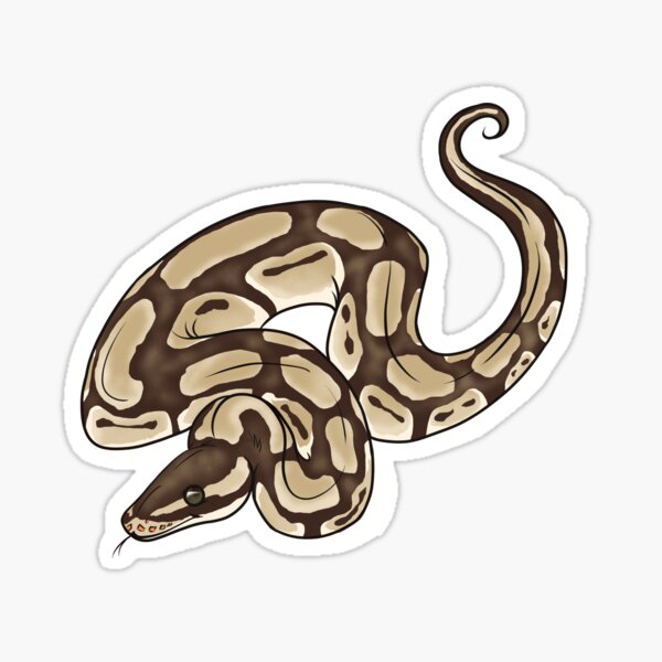 "Lesser Pastel Ball Python" Sticker for Sale by TwilightSaint0 | Redbubble