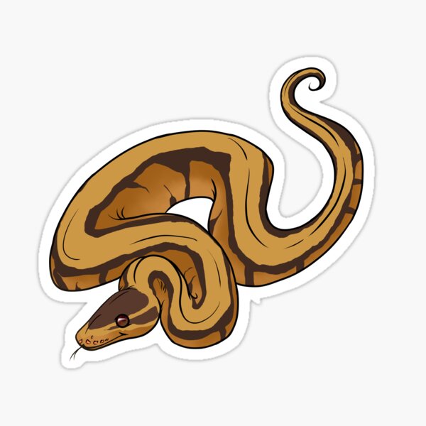 "Genetic Stripe Ball Python" Sticker for Sale by TwilightSaint0 | Redbubble