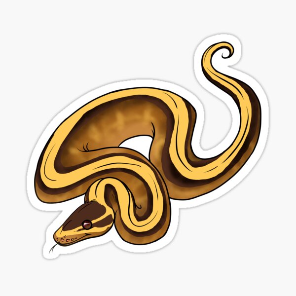 "Highway Ball Python" Sticker for Sale by TwilightSaint0 | Redbubble