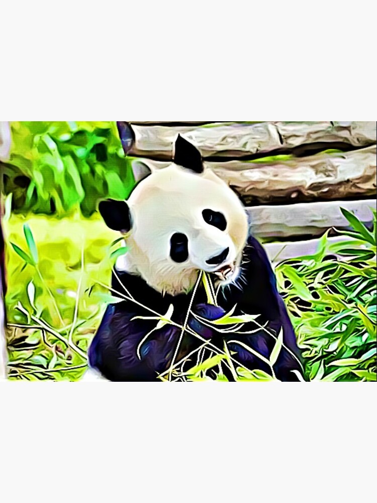 "Panda Eating Bamboo" Sticker for Sale by SenigorSerie | Redbubble