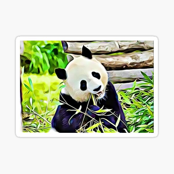 "Panda Eating Bamboo" Sticker for Sale by SenigorSerie | Redbubble