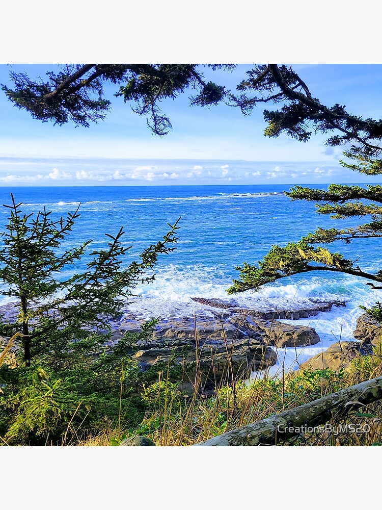 "A Lovely scene from the Oregon Coast" Poster for Sale by ...