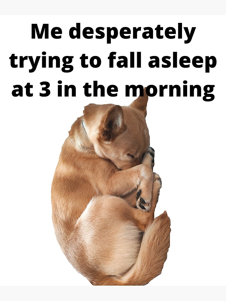 Póster «Perro Meme quedarse dormido» de Domsys | Redbubble