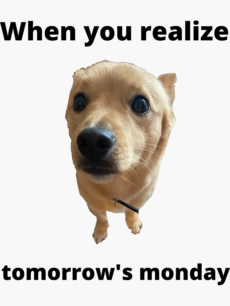 "Dog Meme Monday" Sticker for Sale by Domsys | Redbubble