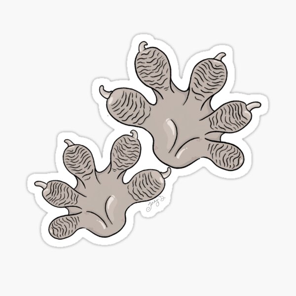 "TOES!" Sticker for Sale by Thepaintedscale | Redbubble