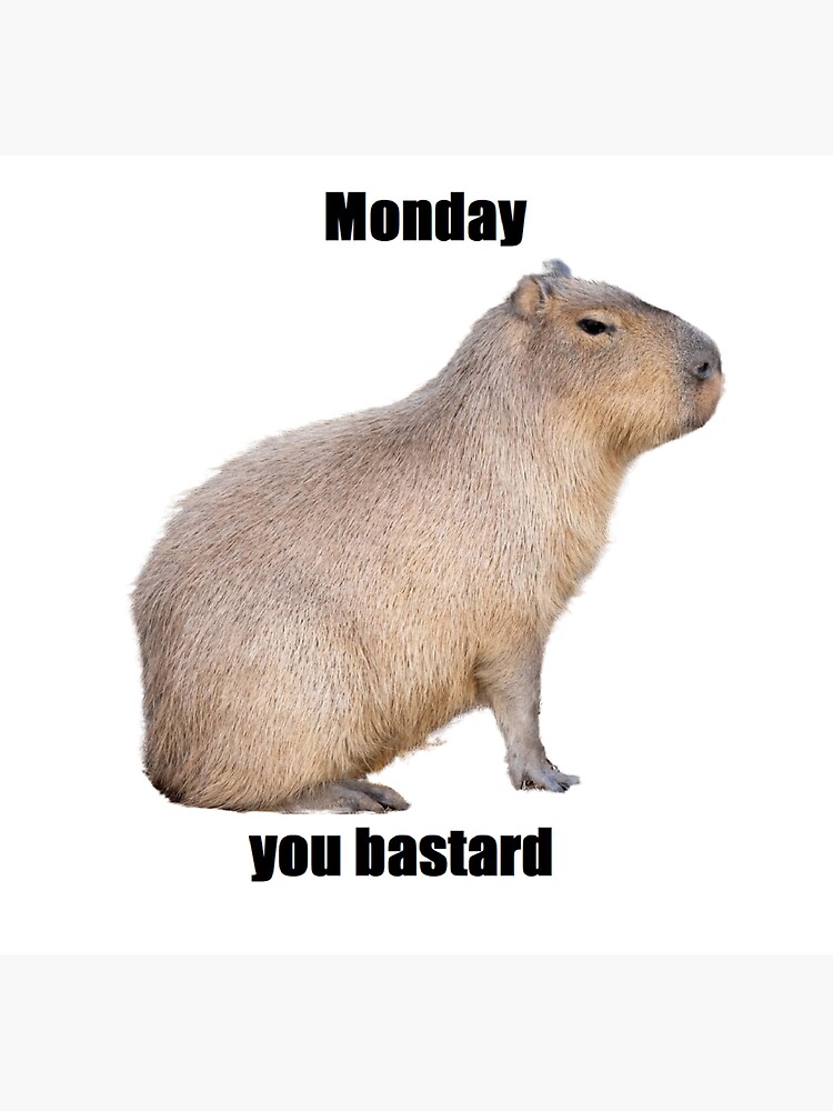 "Capybara monday hater" Sticker for Sale by Machak | Redbubble