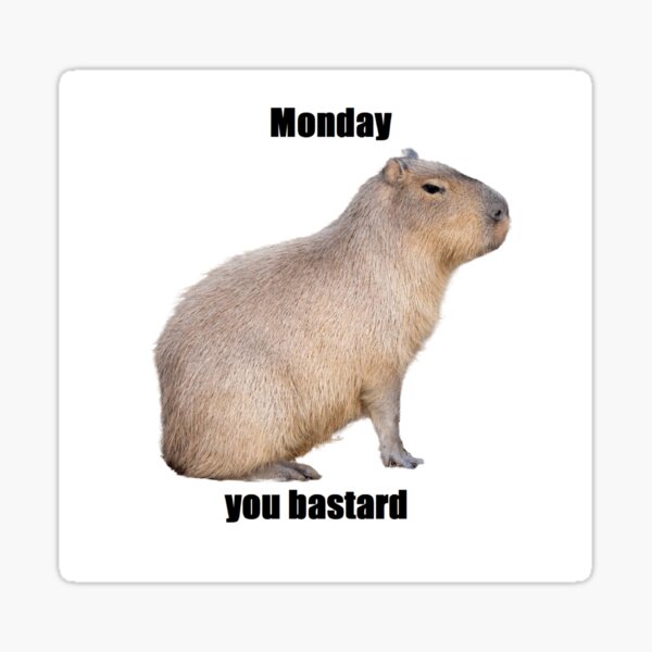 "Capybara monday hater" Sticker for Sale by Machak | Redbubble