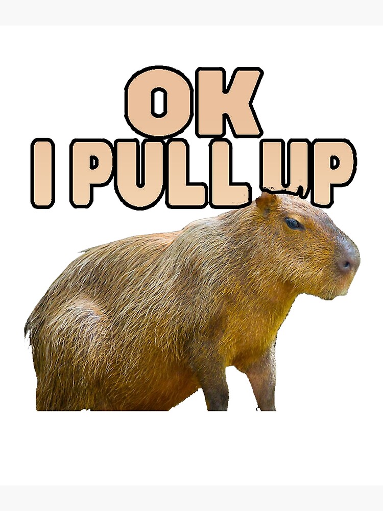 "Capybara funny meme" Poster for Sale by SPONKII | Redbubble
