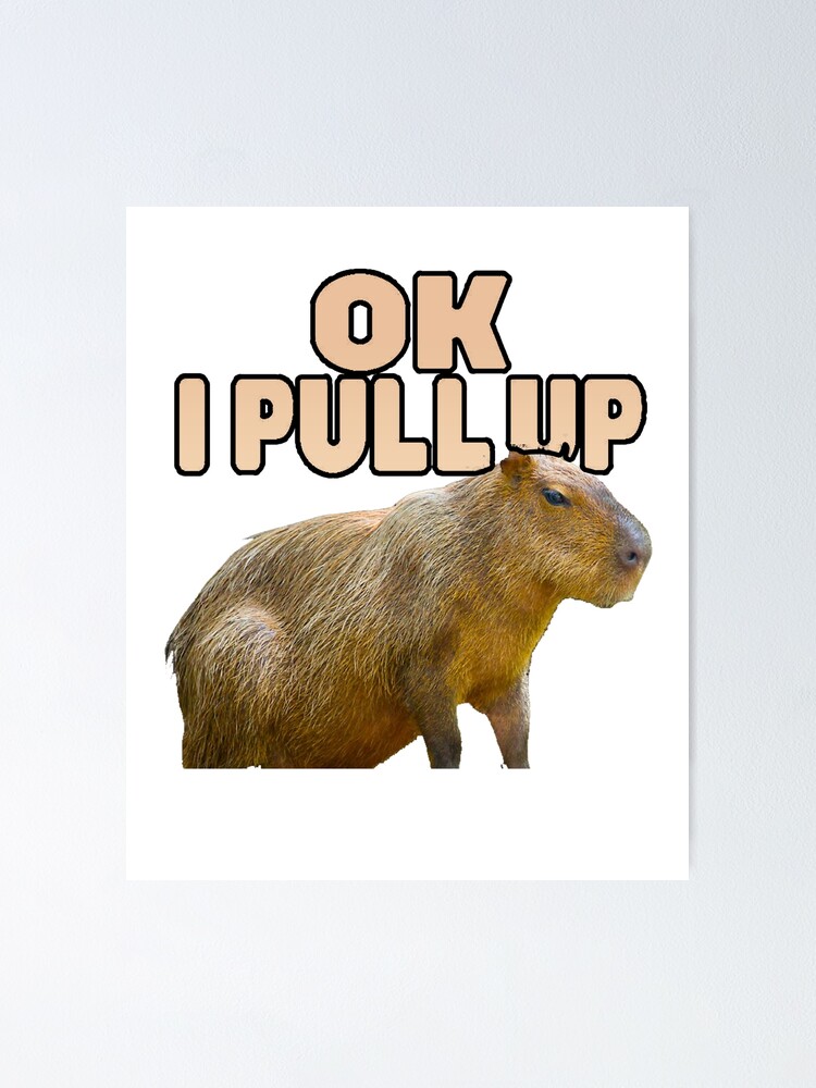"Capybara funny meme" Poster for Sale by SPONKII | Redbubble