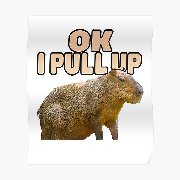 "Capybara funny meme" Poster for Sale by SPONKII | Redbubble