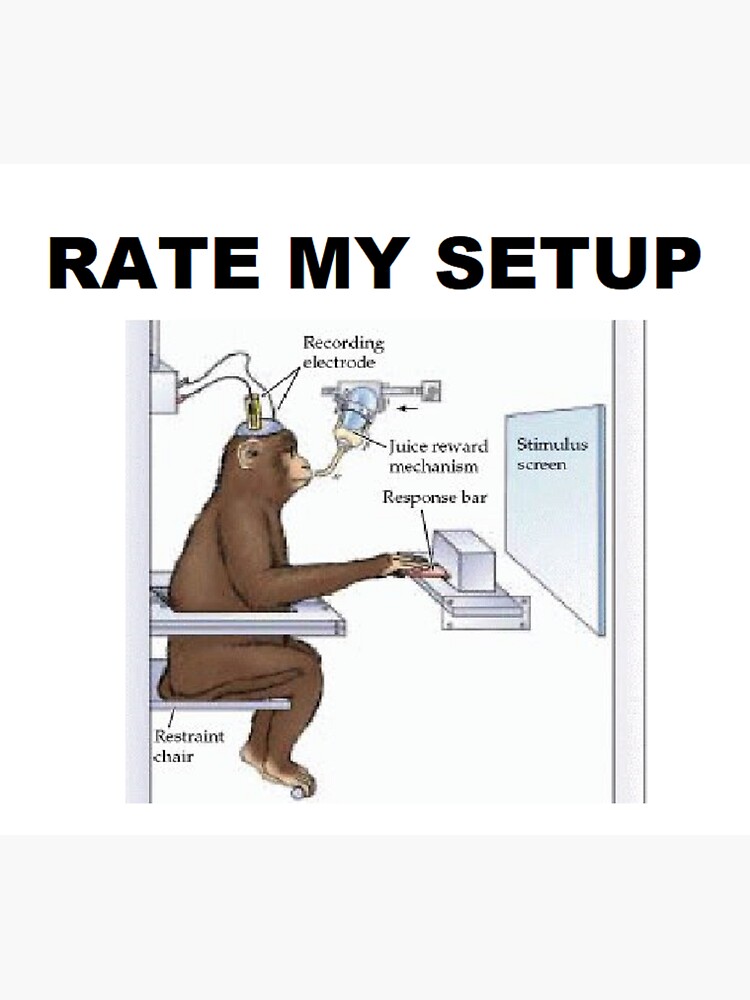 "Rate my Setup Monkey" Sticker for Sale by Jbenson0925 | Redbubble