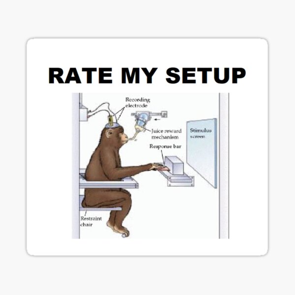 "Rate my Setup Monkey" Sticker for Sale by Jbenson0925 | Redbubble