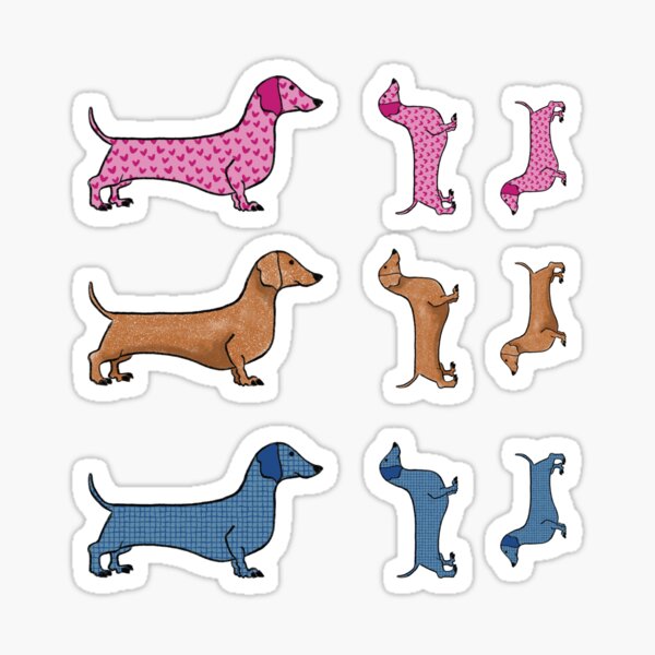 "Dachshund Days- Trio" Sticker for Sale by JBeeDesigns | Redbubble